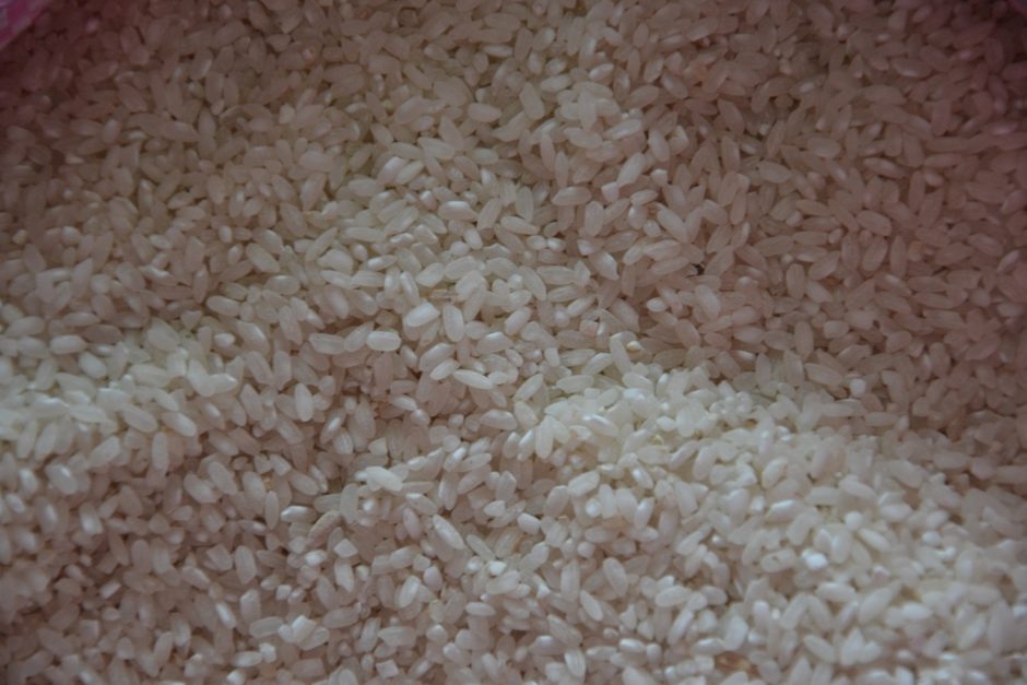 Rice (Palay) – DavaoPonics